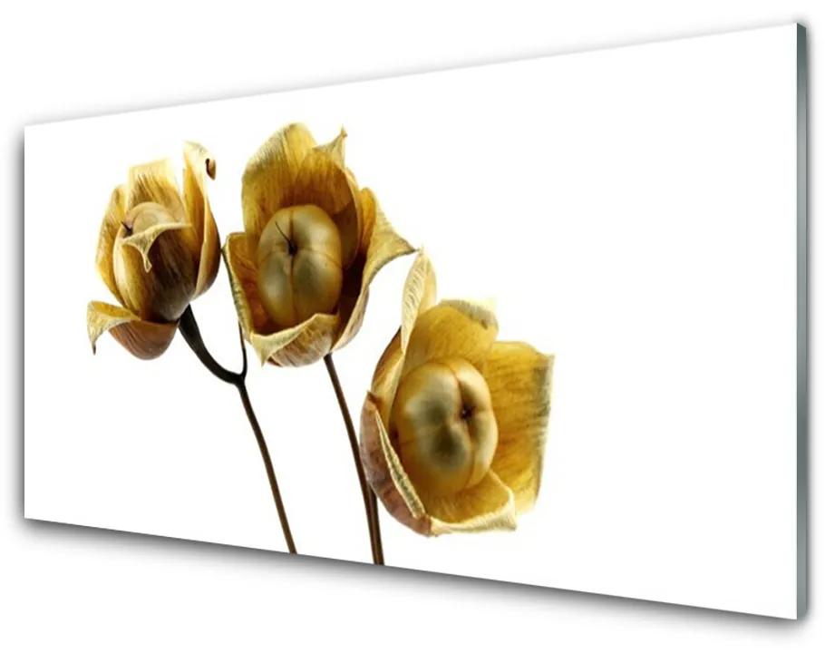 akrylový obraz Květiny Rostlina 140x70 cm