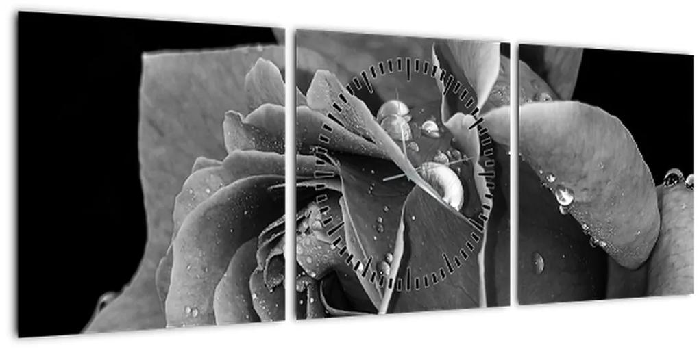 Obraz růže - černobíla (s hodinami) (90x30 cm)