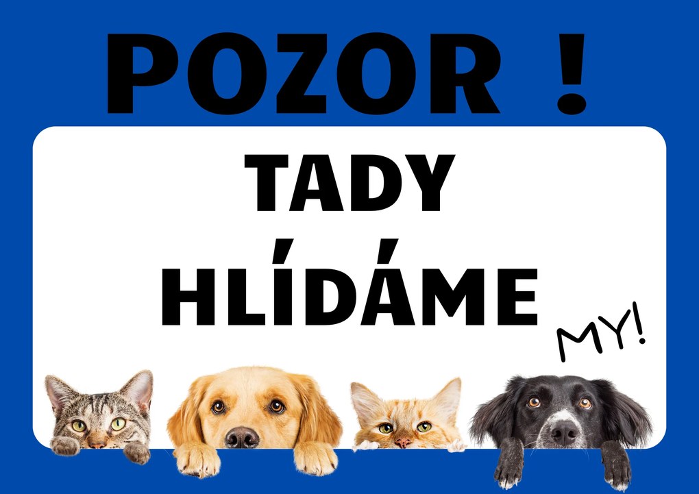 Plechová cedule Tady hlídáme My! Barva: Modrá, Velikost: A5 (20 x 15 cm)