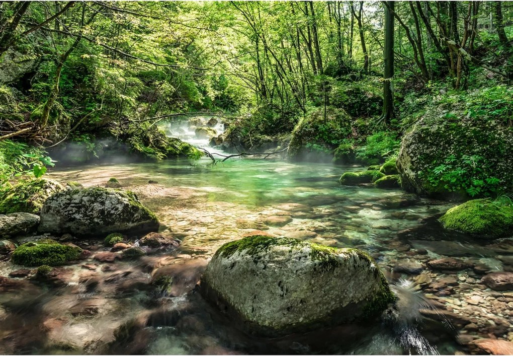 Komar Papírová fototapeta Riverbed, 368 x 254 cm
