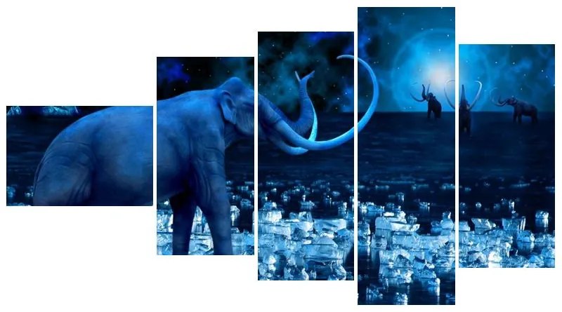 Obraz modrého slona  (110x60 cm), 40 dalších rozměrů