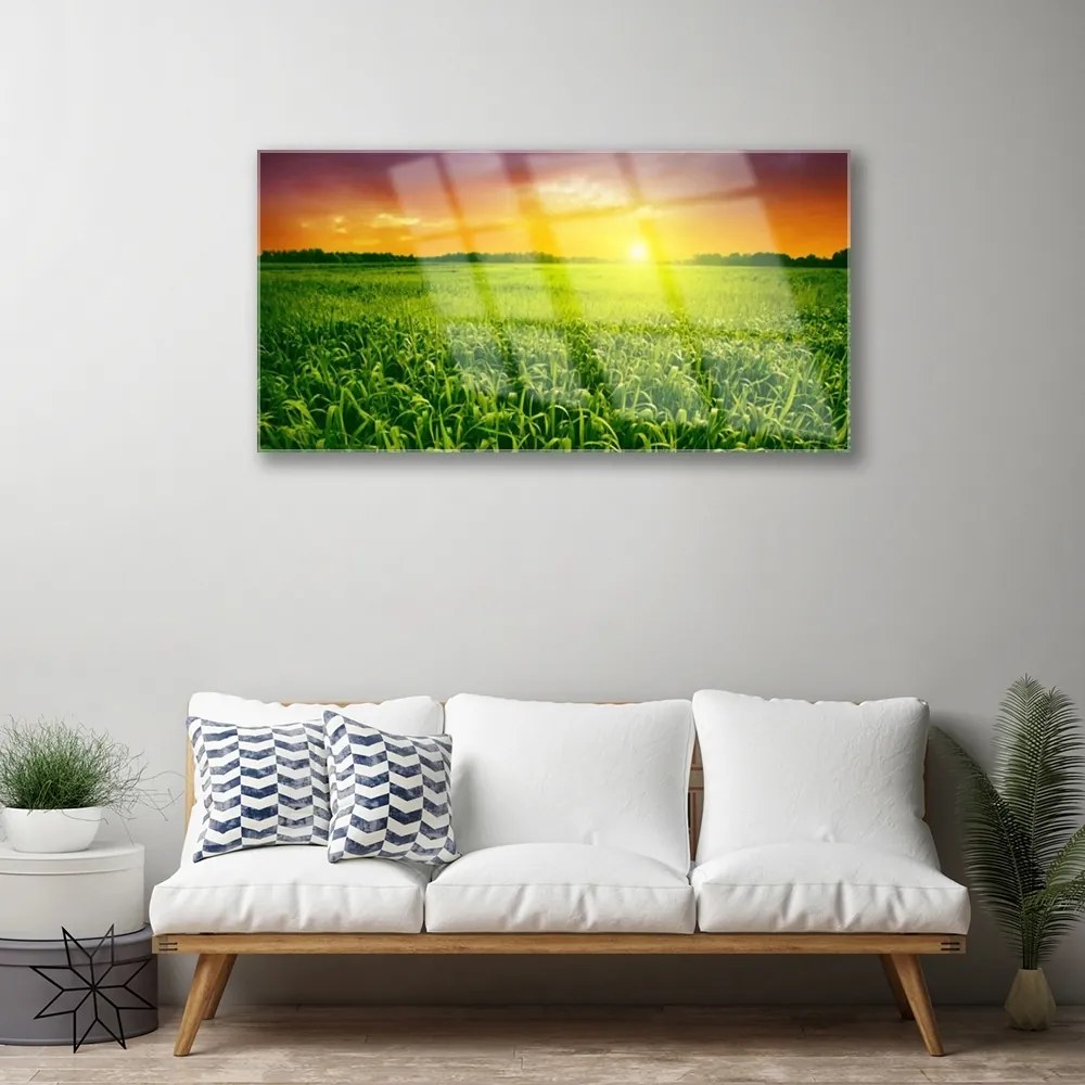 akrylový obraz Obilí Pole Východ Slunce 100x50 cm