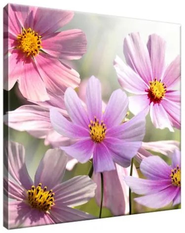 Tištěný obraz Jemné květy 30x30cm 1148A_1AI