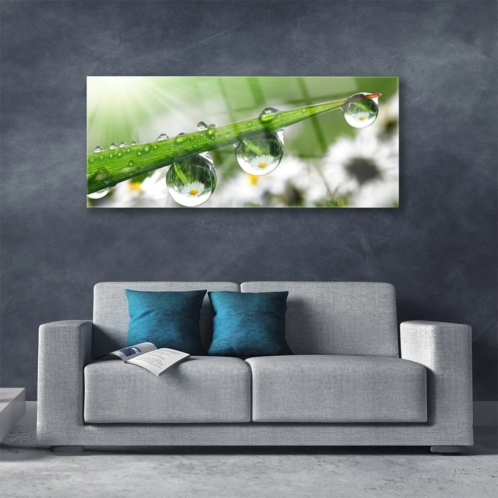 akrylový obraz Tráva Rosa Kapky Příroda 125x50 cm