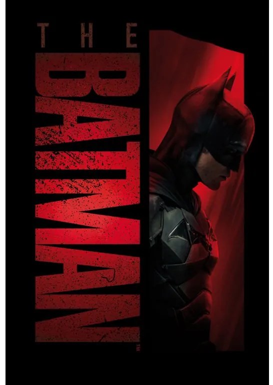 Dětské povlečení Batman The Red 140x200/70x90 cm