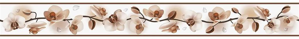 Bordura na zeď samolepicí - Květ orchideje hnědý