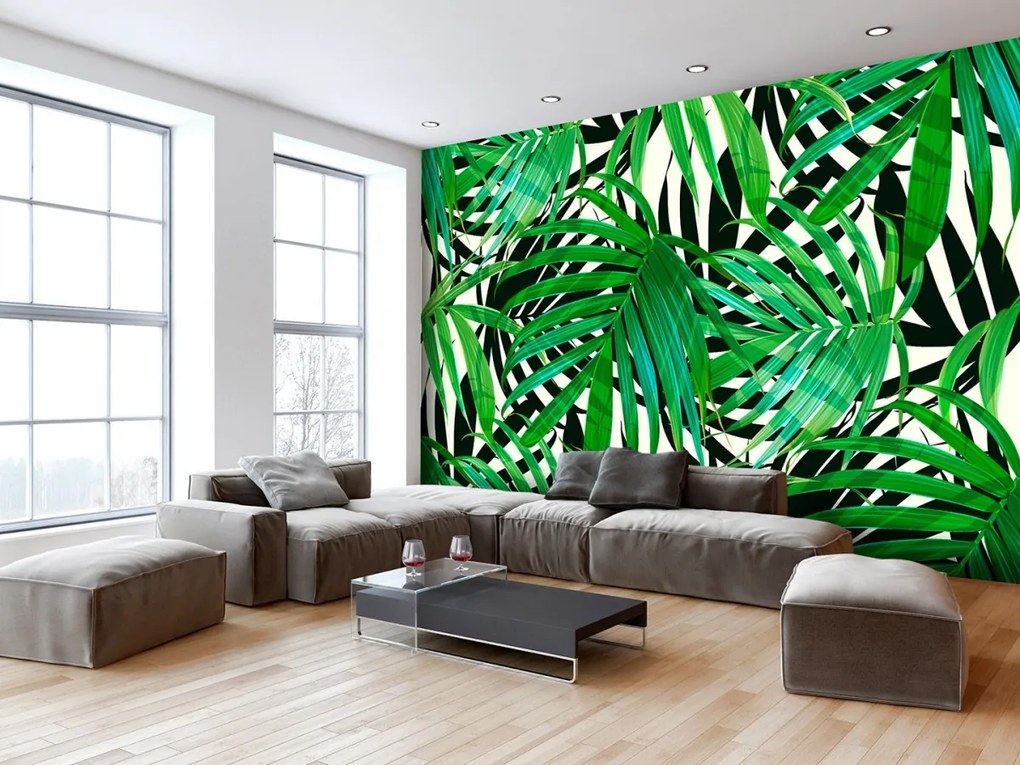 Tropické listy (200x140 cm) - Murando DeLuxe