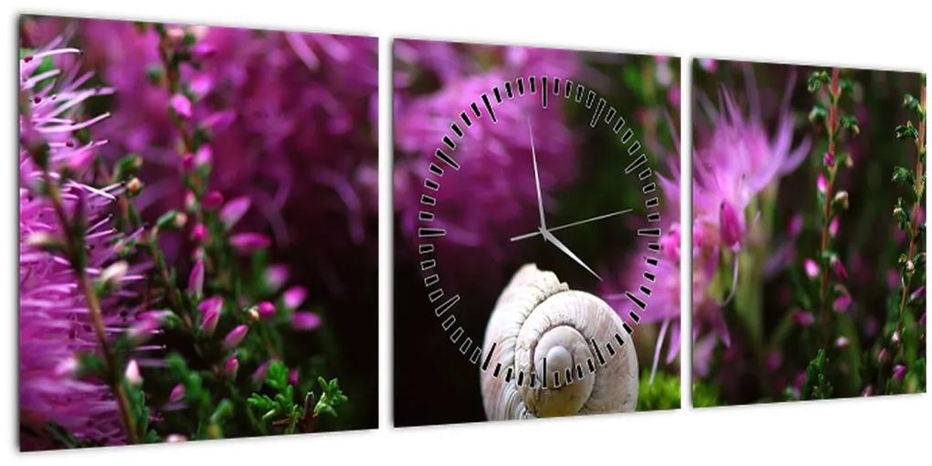 Obraz - Šnečí ulita (s hodinami) (90x30 cm)