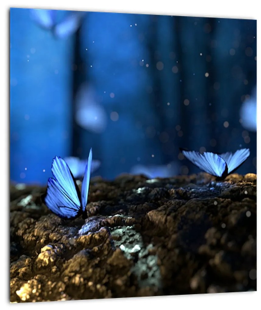 Obraz modrých motýlů (30x30 cm)
