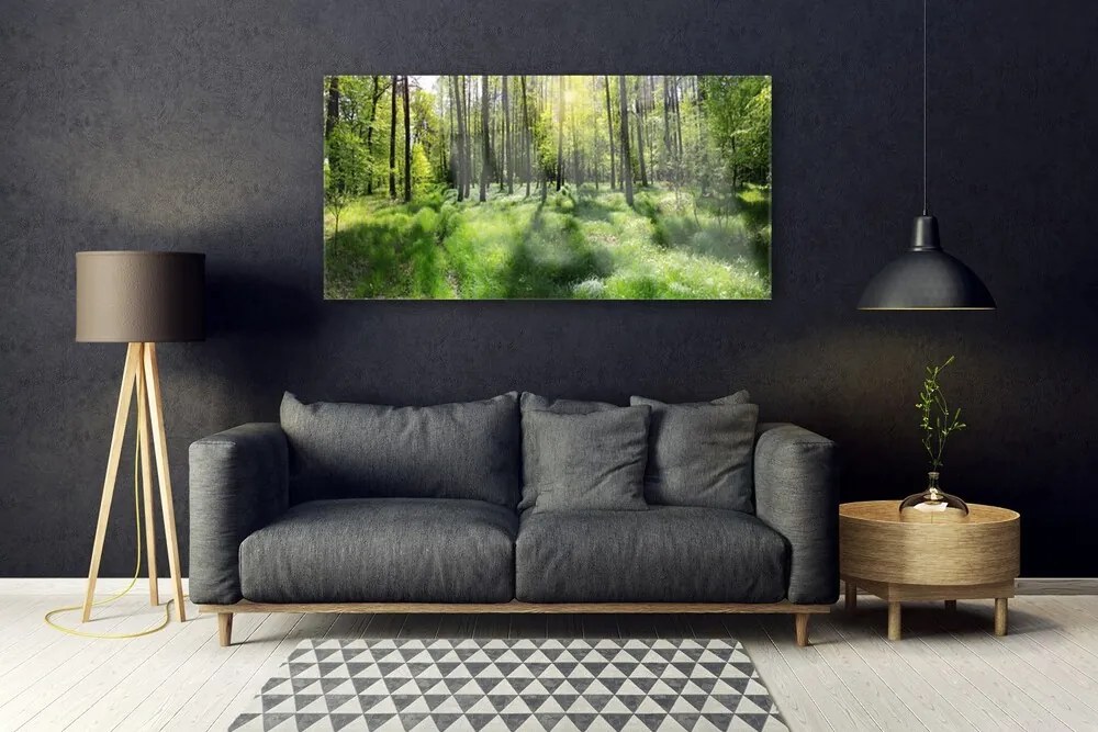 Plexisklo-obraz Les Tráva Rostlina Příroda 120x60 cm