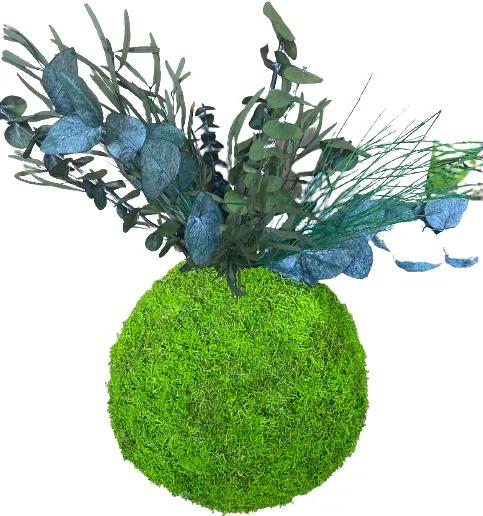 Závěsné kokedamy ze stabilizovaného mechu a rostlin Průměr koule: 15 cm, Barva koule: tmavě zelená