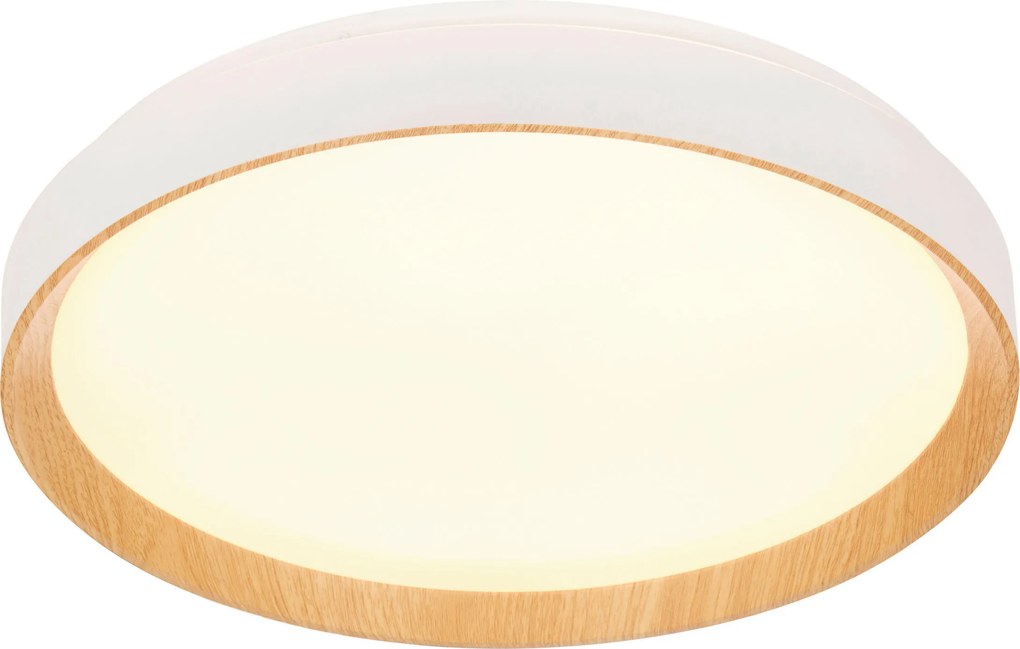 XXXLutz STROPNÍ LED SVÍTIDLO, 48/8 cm Novel - Stropní svítidla - 006286002902