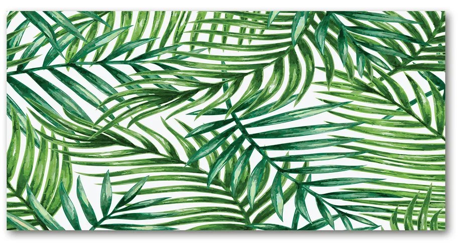 Wallmuralia Foto obraz akrylový Listí palmy 140x70 cm