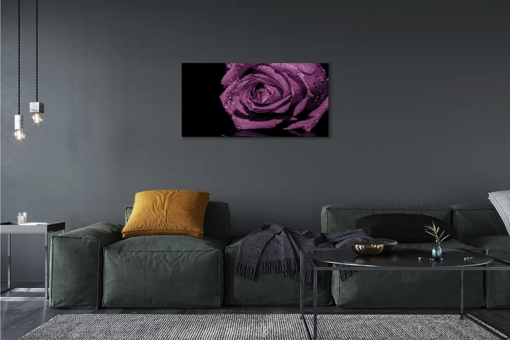 Obrazy na plátně Purpurová růže 120x60 cm