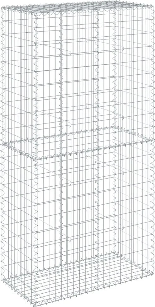 Gabionový koš s víkem 100 x 50 x 200 cm pozinkované železo 3295166