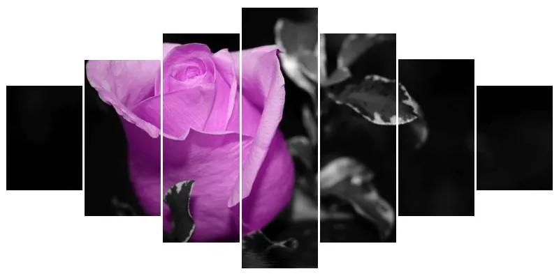 Obraz růžové růže  (210x100 cm), 40 dalších rozměrů