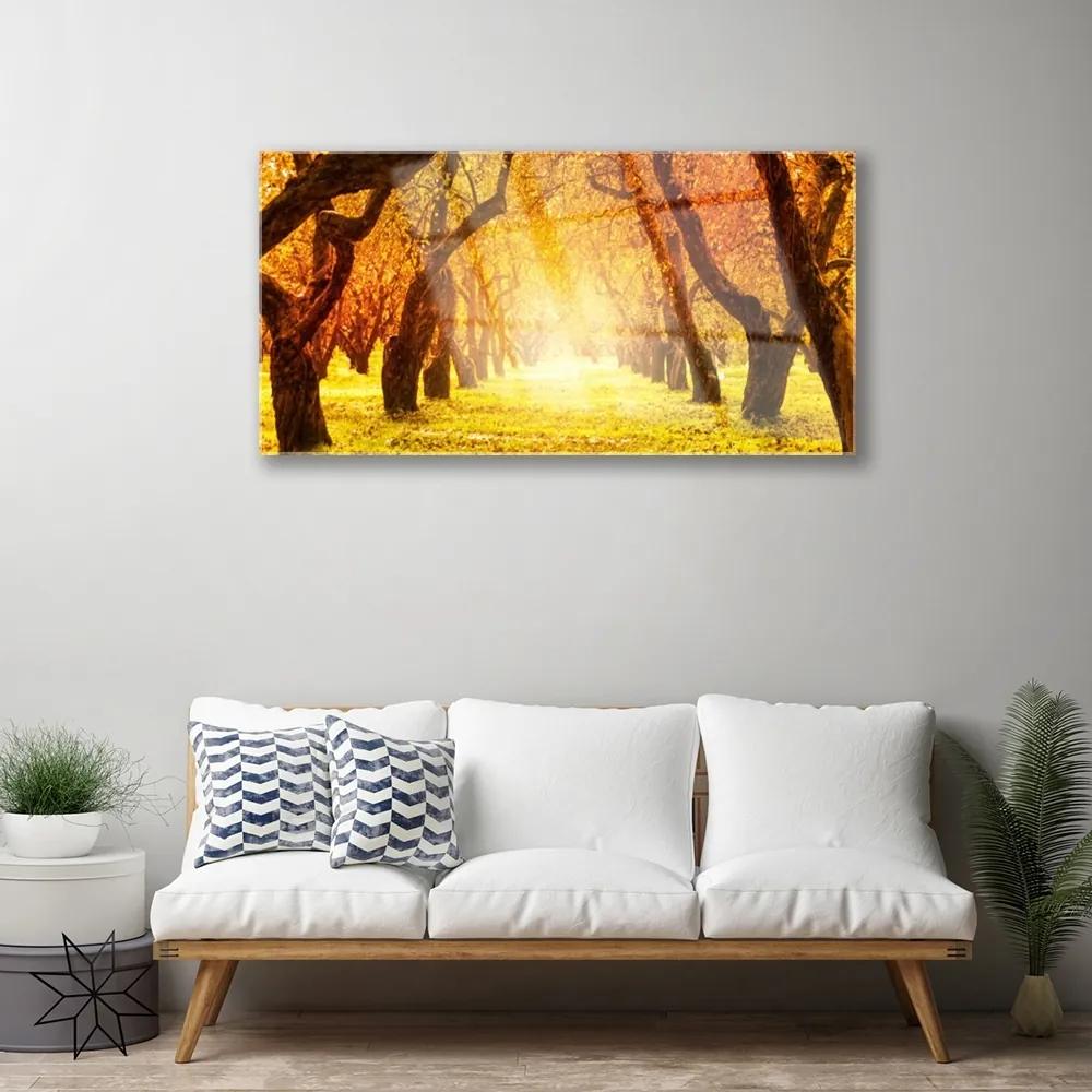 Obraz na skle Les Stezka Stromy Příroda 140x70 cm