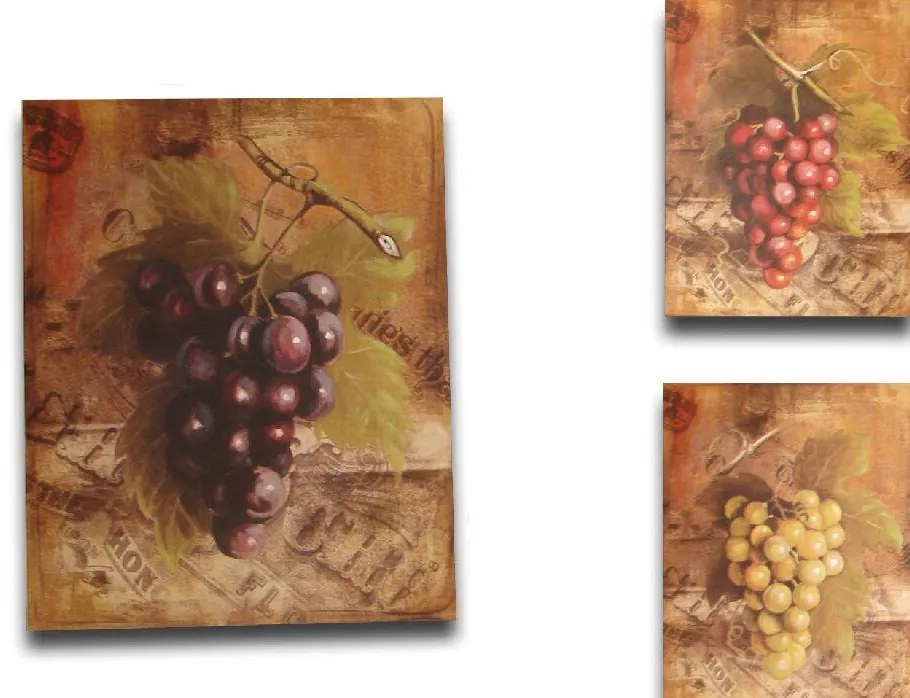 Obraz "GRAPES" 41x51x3/3dr.