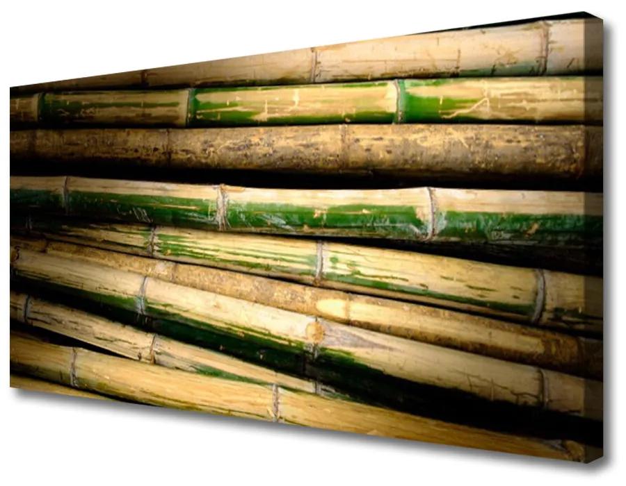 Obraz na plátně Bambus Rostlina Příroda 125x50 cm