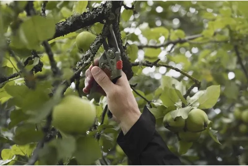 zahradní nůžky Husqvarna velké