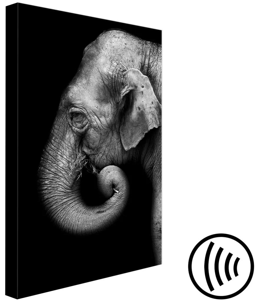 Obraz Portrét slona (1-panel) na výšku