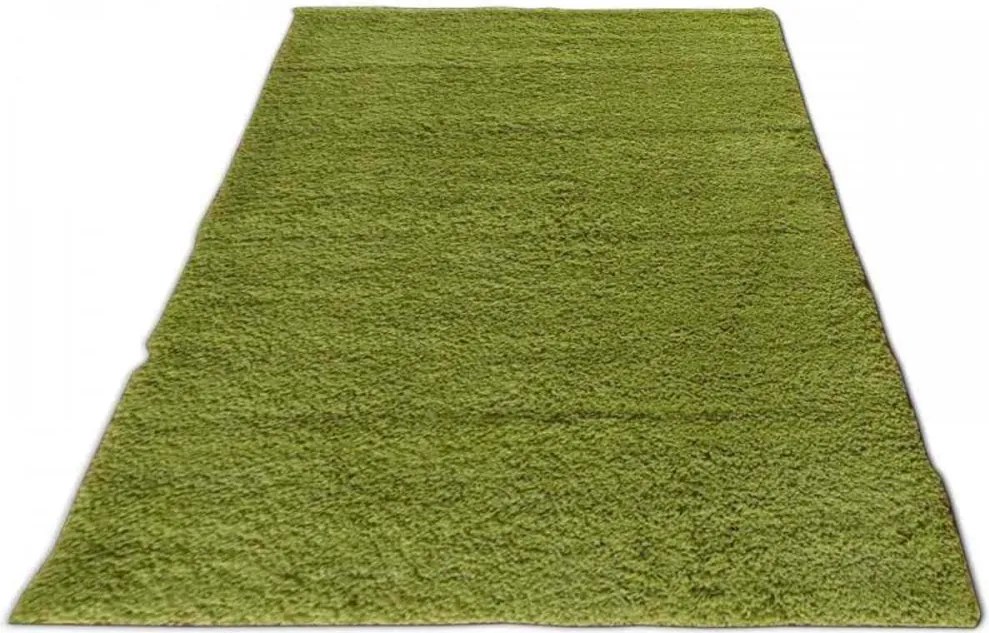 Kusový koberec Shaggy vlas 50 mm zelený, Velikosti 120x170cm