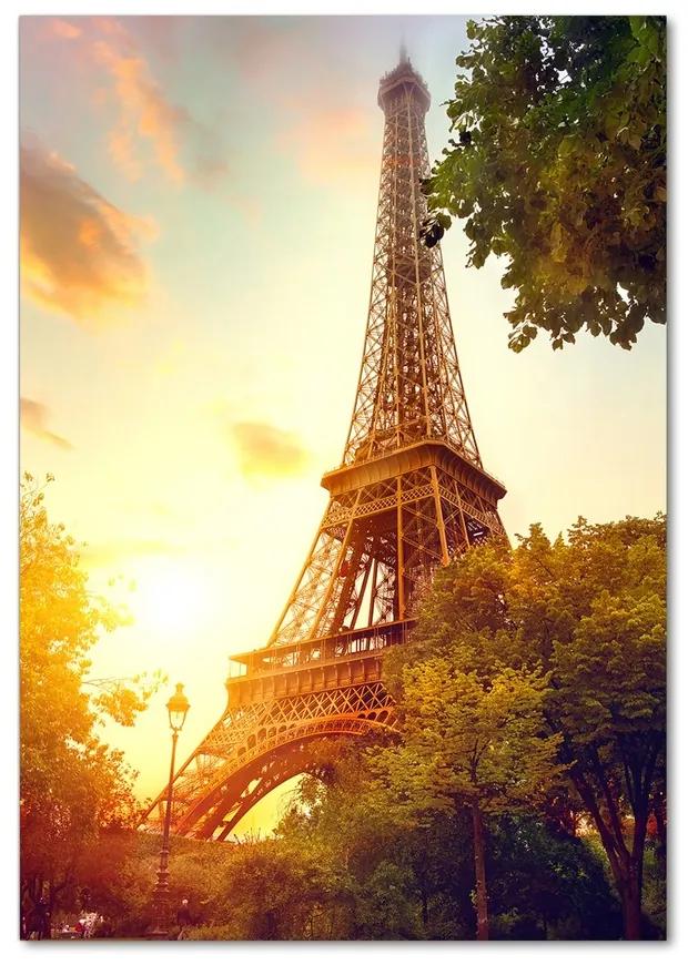 Wallmuralia Foto obraz akrylový Eiffelová věž Paříž 70x100 cm