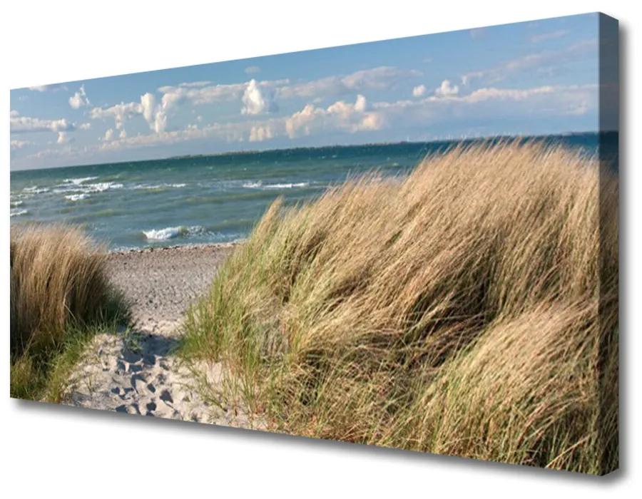 Obraz na plátně Pláž Moře Tráva Krajina 100x50 cm
