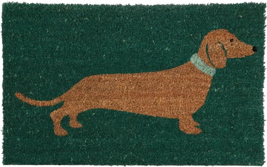 Zelená rohožka Premier Housewares Sausage Dog, 40 x 60 cm