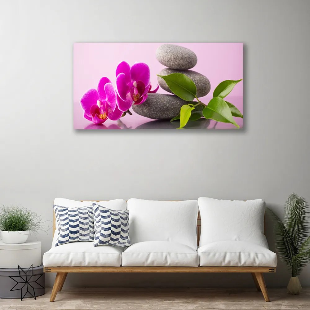 Obraz na plátně Květ Kameny Zen Rostlina 120x60 cm