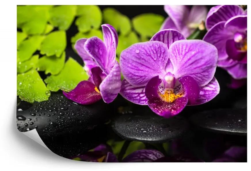 Fototapeta Orchidové Lázně Omyvatelný vlies 104x70.5