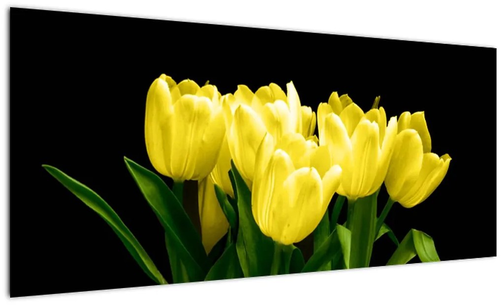 Tulipány - obraz (100x40cm)