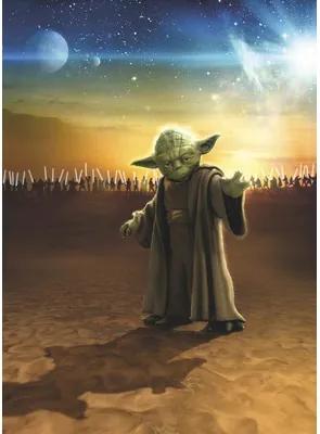 Fototapeta Star Wars Master Yoda 184 x 254 cm, 4 díly