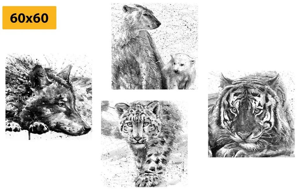 Set obrazů zvířata v černobílém akvarelovém provedení Varianta: 4x 40x40