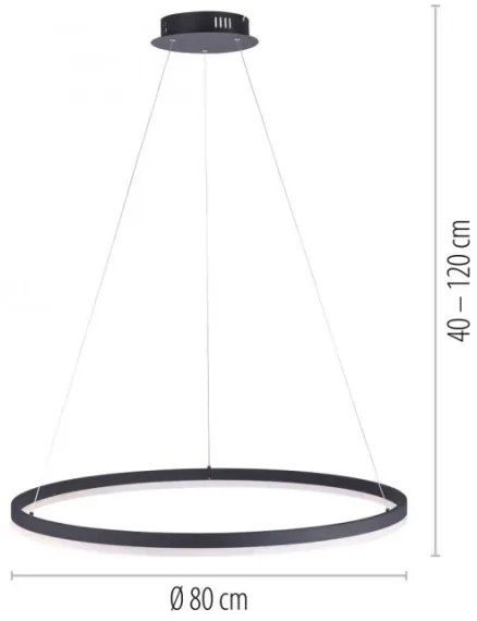 Paul Neuhaus 2383-13 - LED Stmívatelný lustr na lanku TITUS LED/50W/230V