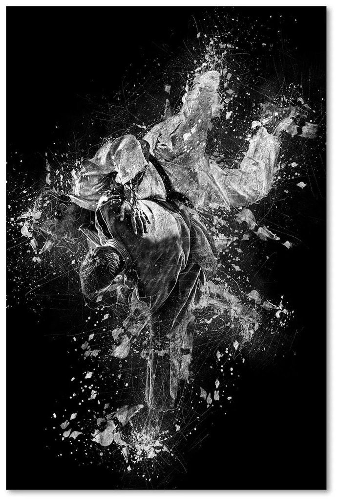 Gario Obraz na plátně Judo - Cornel Vlad Rozměry: 40 x 60 cm