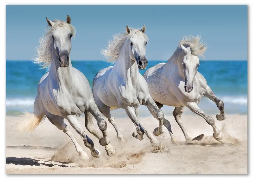 Wallmuralia Foto-obraz na skle Bílí koně pláž 100x70 cm