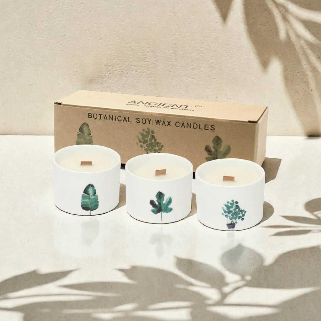 Plantbee 3x Botanická svíčka - Japonská Zahrada