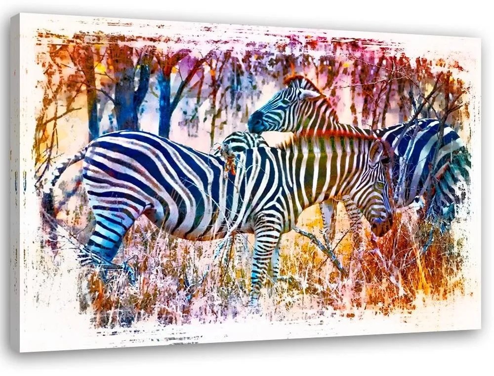 Gario Obraz na plátně Dvě barevné zebry - Andrea Haase Rozměry: 60 x 40 cm