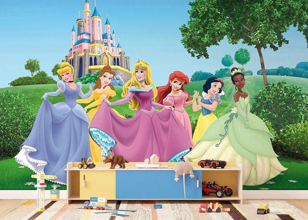 Vliesová fototapeta na Louce Před Zámkem, Disney Princezny | 360 x 270 cm | DFTDNXXL5003