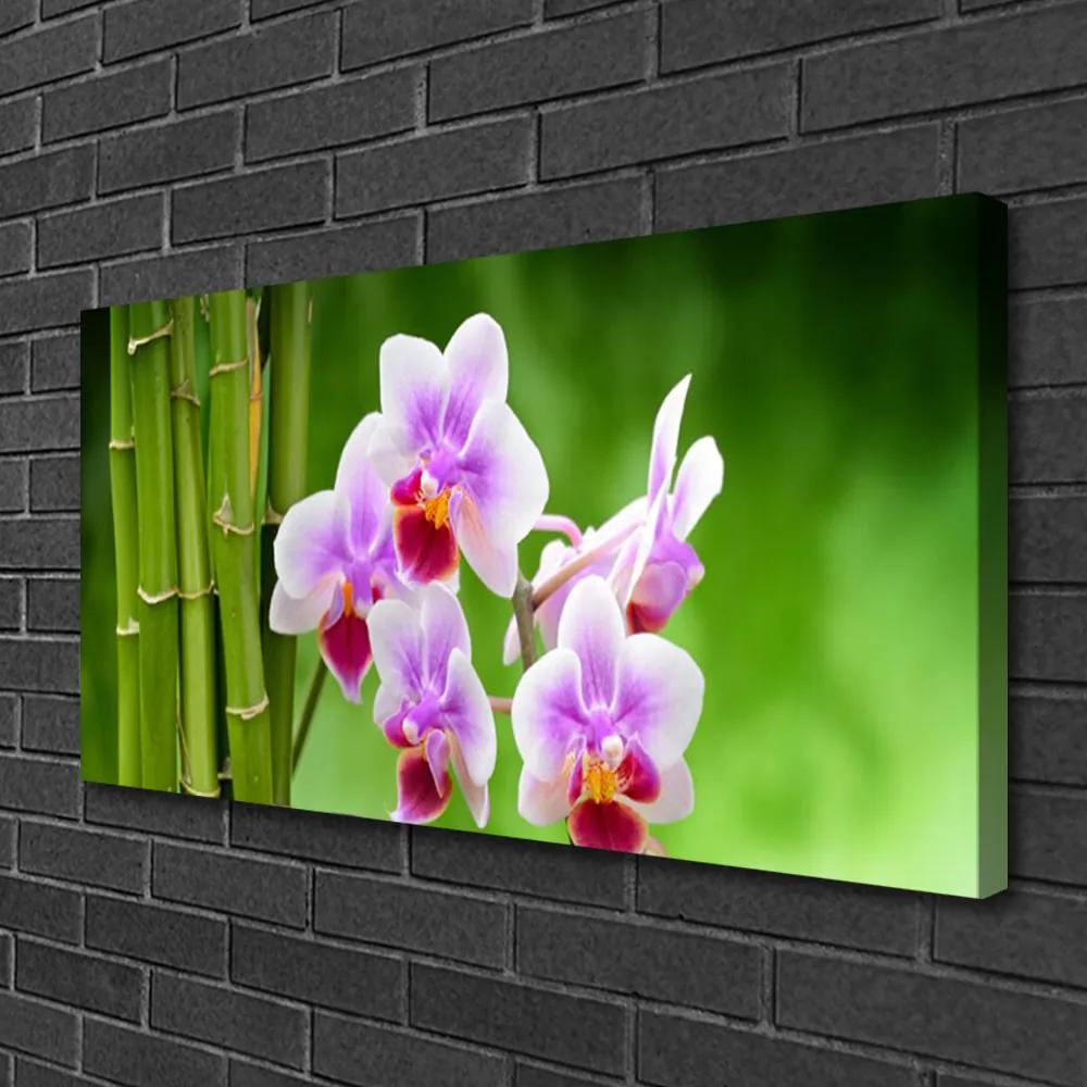 Obraz na plátně Bambus Orchidej Květiny Zen 125x50 cm
