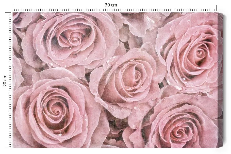 Obraz Krásné Vintage Růže Nedostatek Nedostatek Přírodní plátno 120x80