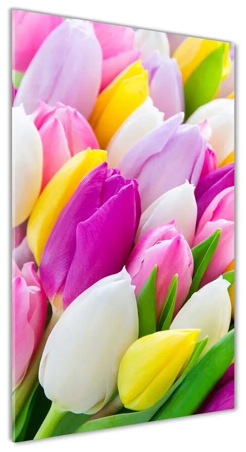 Wallmuralia Foto obraz akrylový Barevné tulipány 60x120 cm