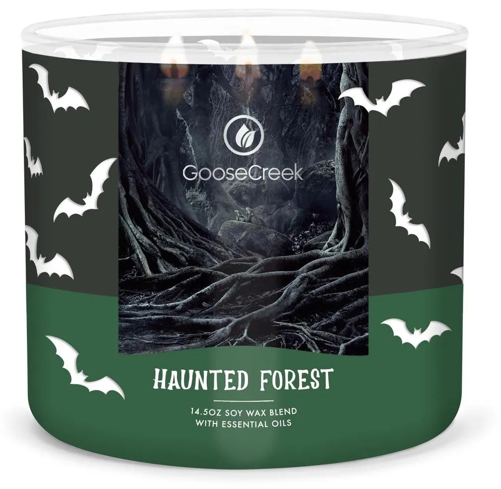 Goose Creek Candle svíčka Halloween Haunted Forest, 411 g