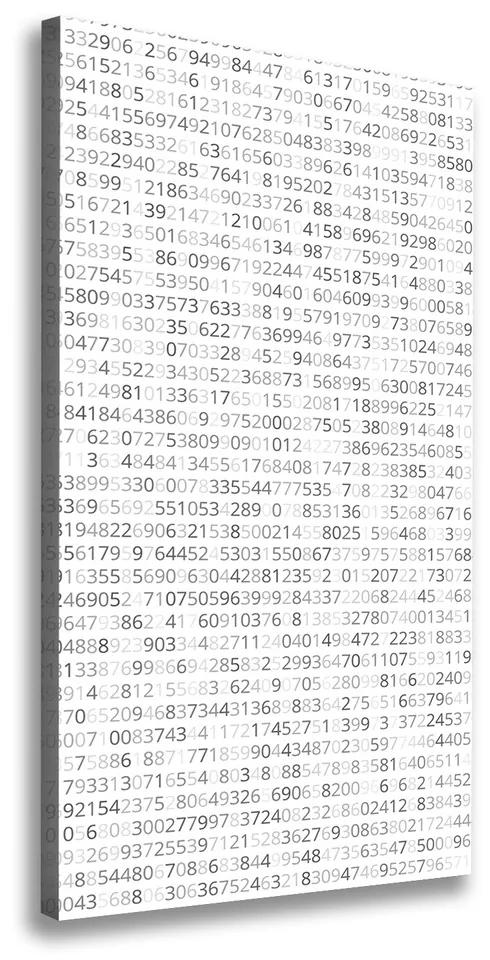 Wallmuralia Foto obraz na plátně do obýváku Binární kód 50x100 cm