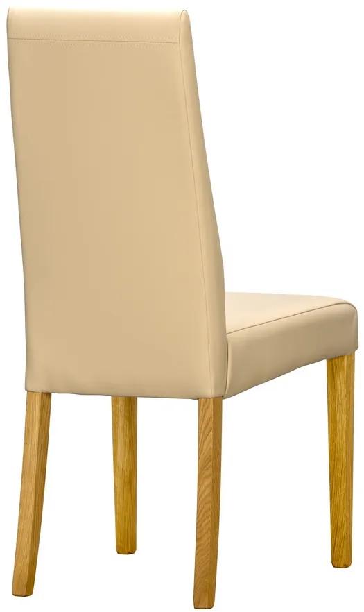 Casarredo Jídelní čalouněná židle LUCERA (2ks) Cayenne výběr barev