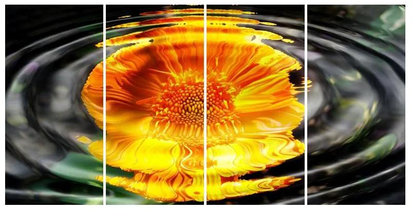 Obraz květu pod hladinou (160x80 cm), 40 dalších rozměrů