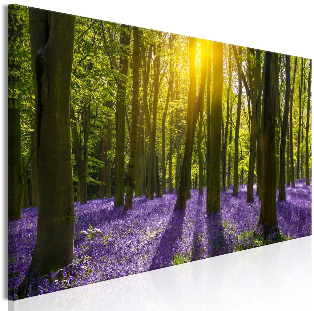 Obraz - Hyacinth Field (1 Part) Narrow 120x40