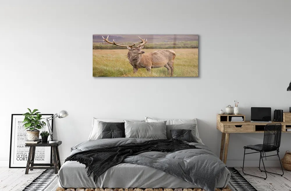 akrylový obraz polní jelen 120x60 cm