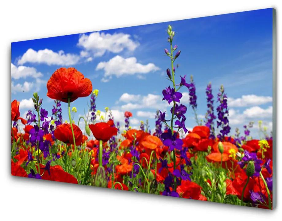 akrylový obraz Tulipány Rostlina 140x70 cm